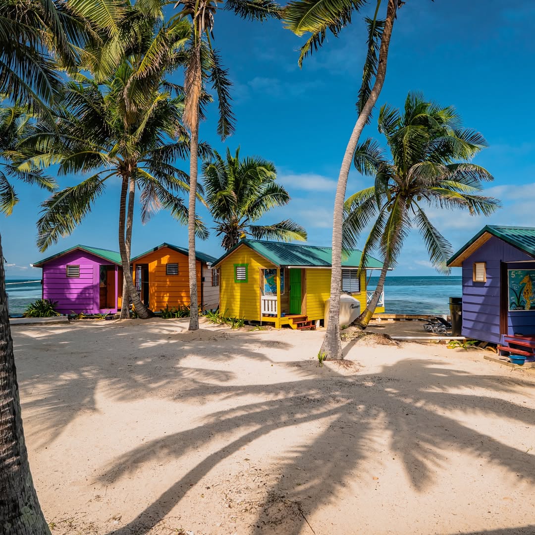 Things to do in Tobacco Caye - Attractions, Tours & Travel Guide- Enjoy ...