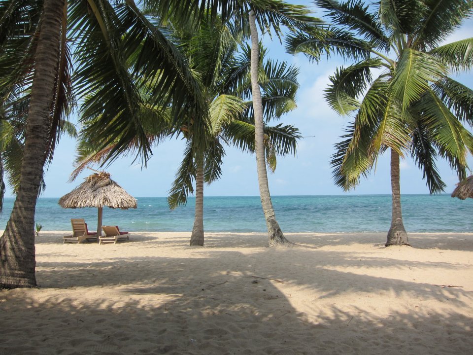 Things to do in Dangriga - Attractions, Tours & Travel Guide- Enjoy Belize